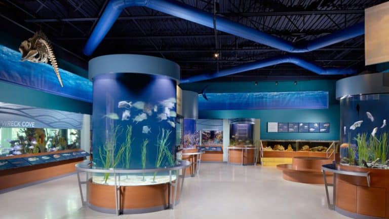 South Florida Science Center and Aquarium | WestPalmBeach.com